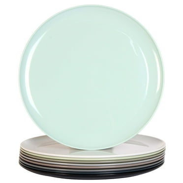 Youngever 10 Inch Plastic Plates, Large Plates, Dinner Plates, Set of 9 ...