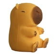 Capybara Squishy Toys, Slow Rising Stress Cube Sensory Toys, Swirling ...