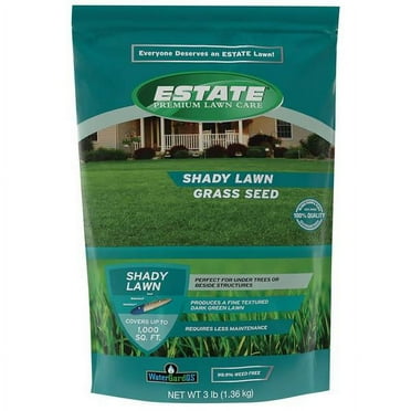 TifBlair Centipede Grass Seed (1 Lb.) from Patten Seed Company, Ideal ...