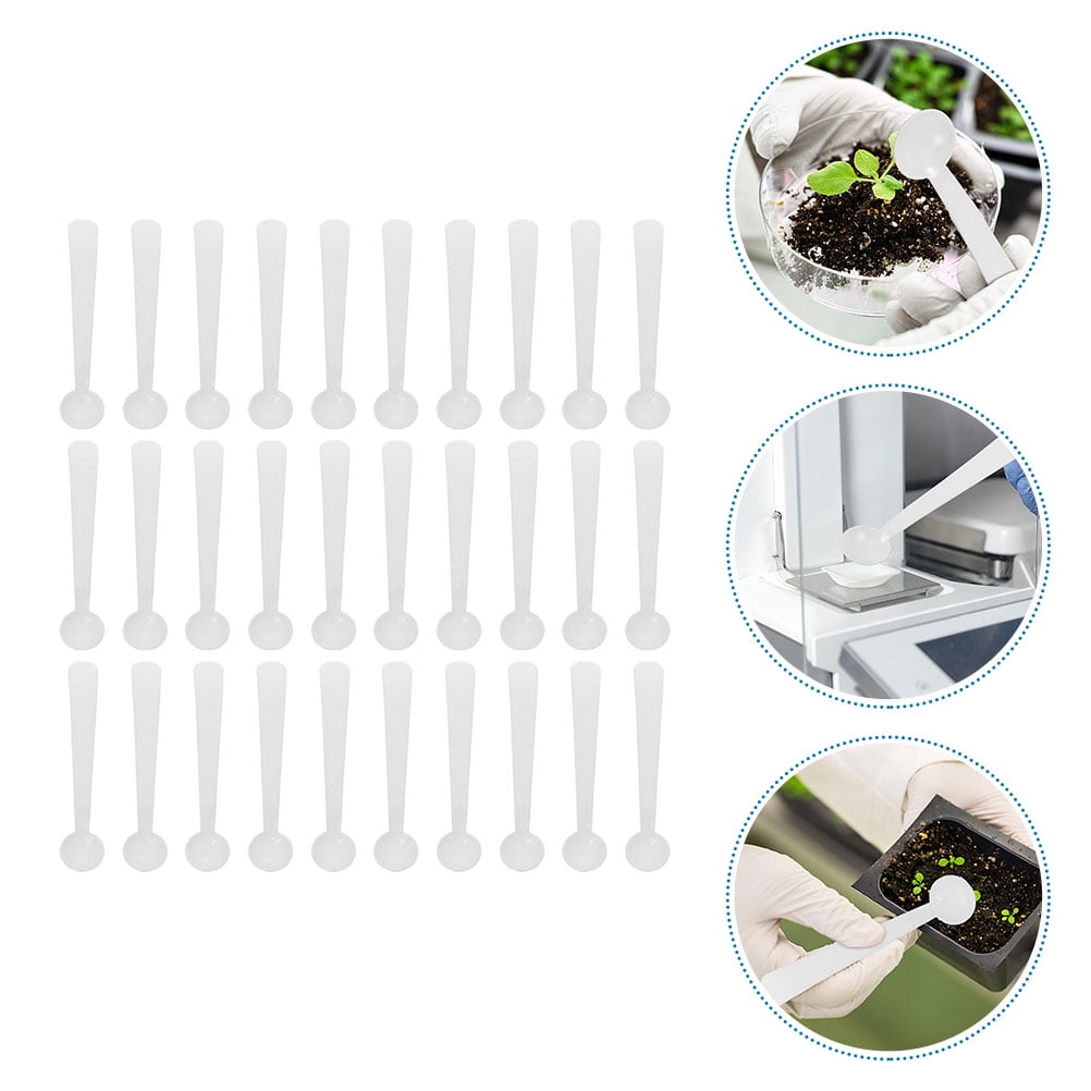Buy Hemoton 120pcs Micro Scoop 2g PP Smidgen Measuring Spoons for ...