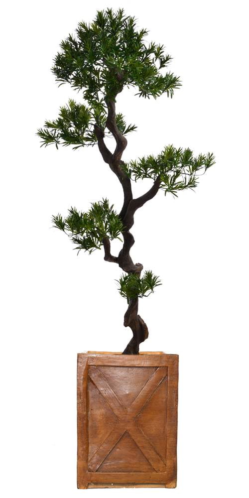 57 in. Tall Yacca Tree with Fiber Stone Planter - Walmart.com