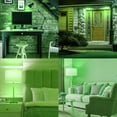 Luxrite A19 Edison LED Green Light Bulb 4.5W=60W E26 Base Indoor ...