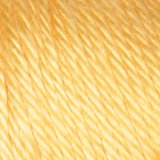 Caron Simply Soft Yarn, Neon Sunshine, Versatile Worsted, 170g/6oz ...