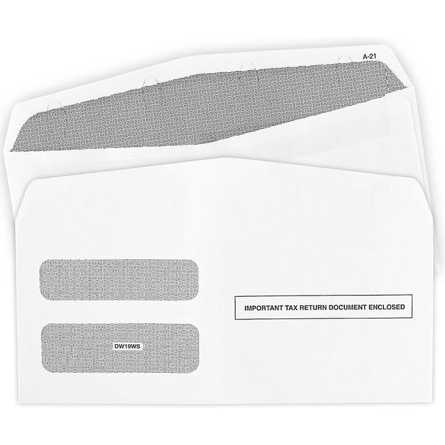 100 1099 NEC Tax Form Envelopes, Designed for Printed 1099 NEC Forms ...