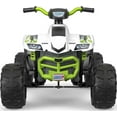 Power Wheels Kids Outdoor Racing ATV 12V Battery Powered Ride-On ...