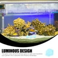 Eease 1 Bag Glowing Stones Fish Tank Luminous Stone Glow in Dark ...