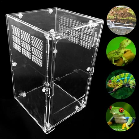 Large Reptile Breeding Box Professional Acrylic Feeding Box for Spider ...