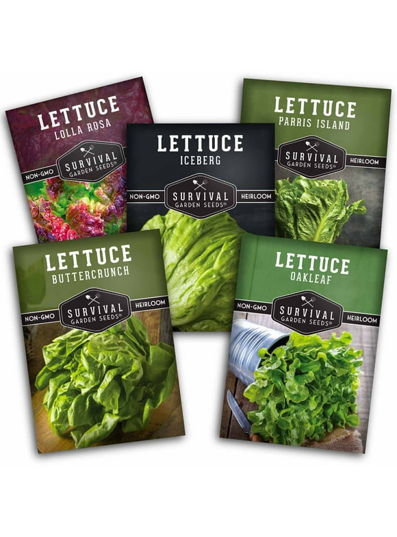 Lettuce Seeds in Seed Gardening - Walmart.com