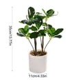 Nsxcdh Artificial Rich Tree Bonsai Indoor Faux Green Plants Potted ...