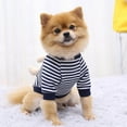 Cozy Bear Pocket Pet Sweater Guard Warm Clothes For Small Dogs And Cats ...