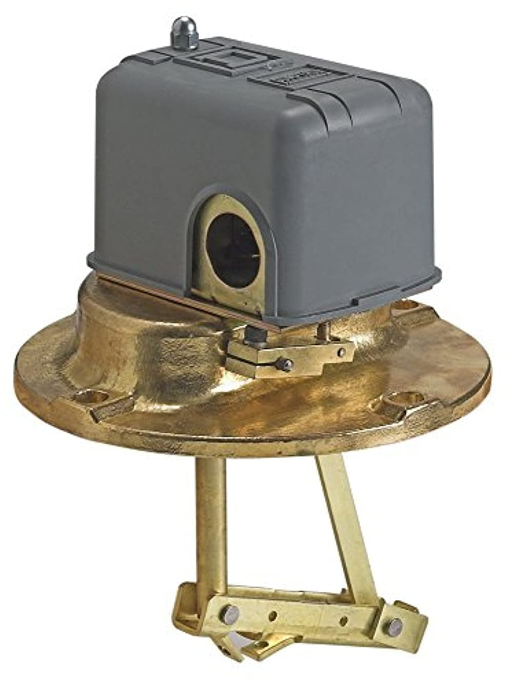 Schneider Electric (Square D) 9037Eg8 - Float Switch for Reliable Water ...