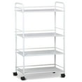 4 Shelf Large Salon Beauty Trolley Cart Spa Storage Dentist Wax ...