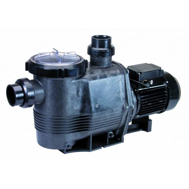 Waterco 2405150A 2 in. 1.5 HP Single Phase 115 & 230V Hydrostorm Plus ...