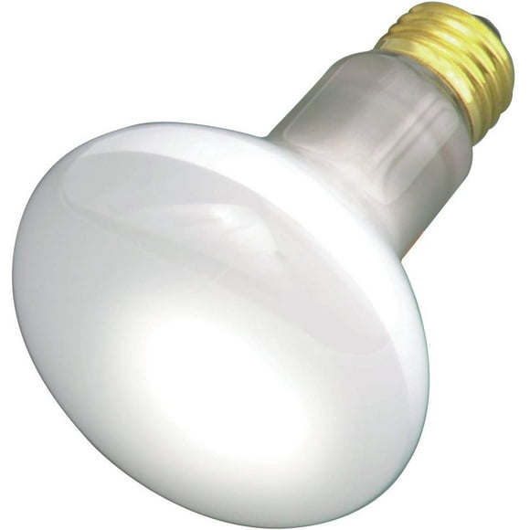 30 Watt Light Bulbs