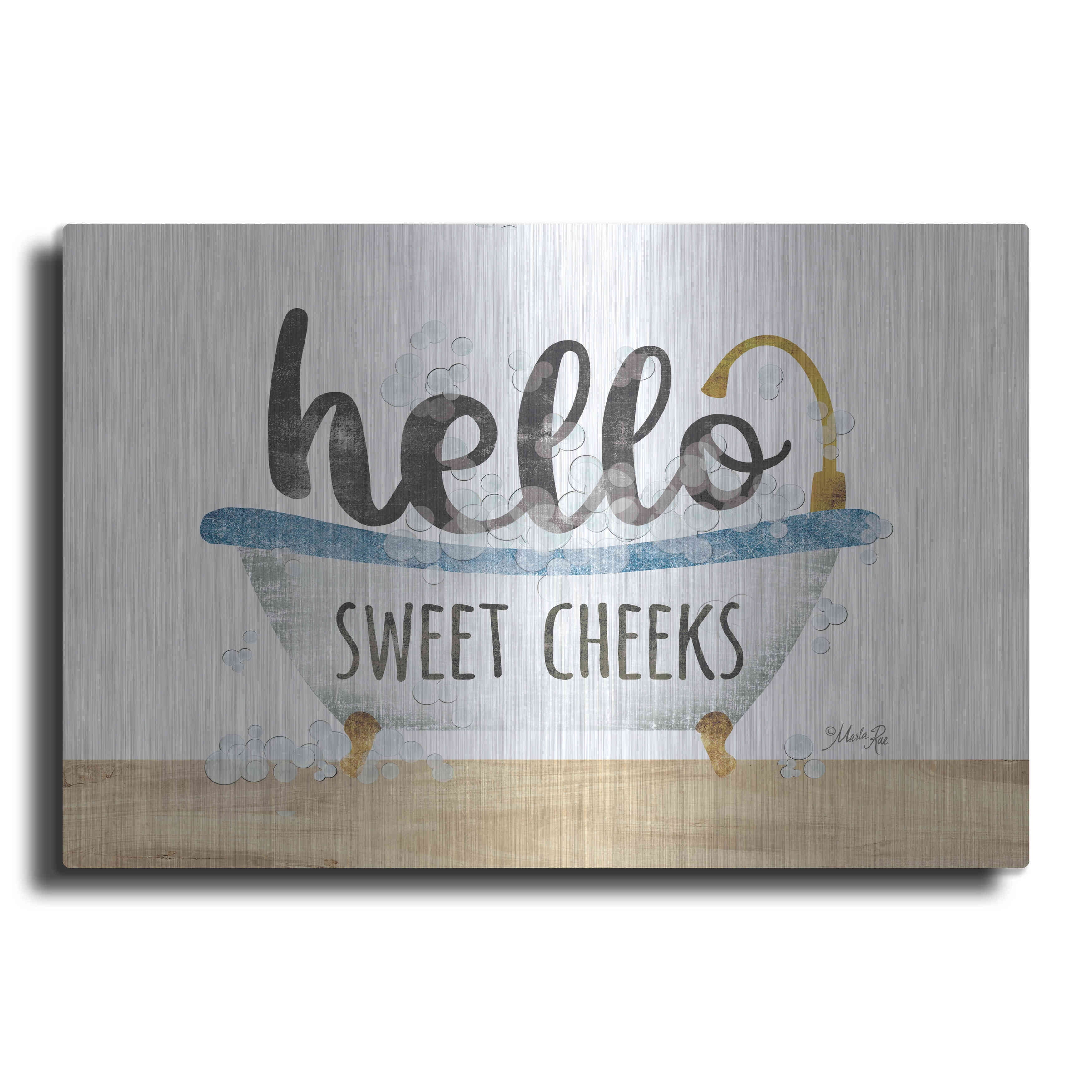 Luxe Metal Art 'Hello Sweet Cheeks' by Marla Rae, Metal Wall Art, 16 ...