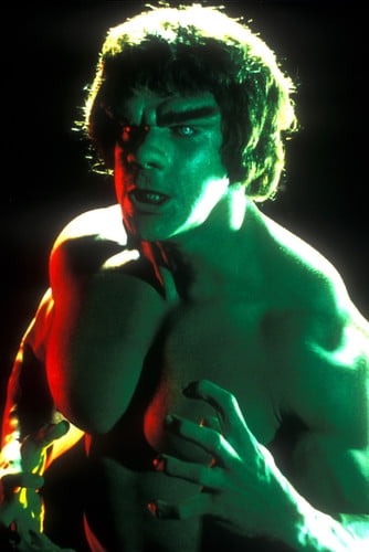 The Incredible Hulk Lou Ferrigno Stunning Muscle Pose In Green 24x36 ...