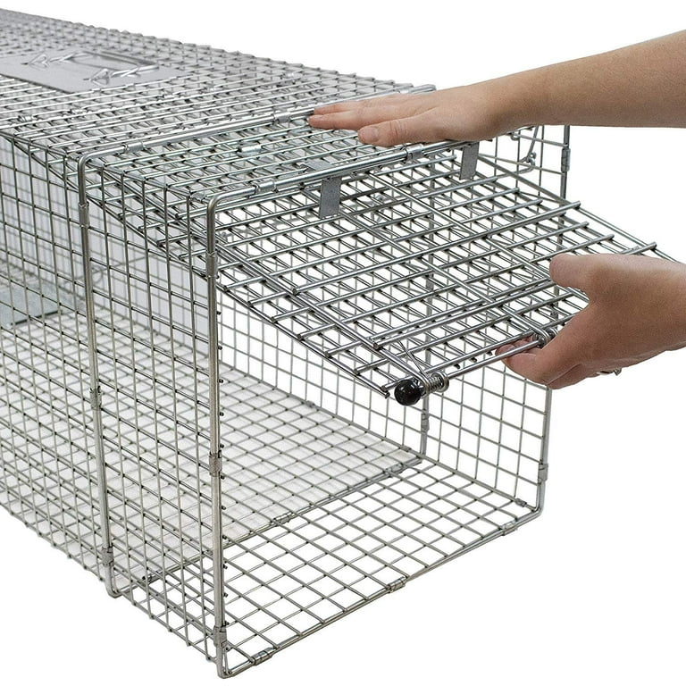 Large Box Traps