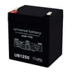 UPG D5745 UB12180 12V 18Ah FM12180 Replacement Battery with 1 Year ...