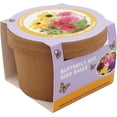 Wildflower Seed Balls (20-Count) – Pollinator-Friendly Flower Mix for ...
