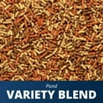TetraPond Variety Blend Pond Fish Food for Goldfish And Koi, 5.29 oz ...