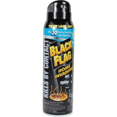 Safety Technology DS-BFLAG Black Flag Insect Spray Diversion Safe ...