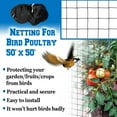 Sunrise 50'x50' Bird Net for Bird Poultry Aviary, Black - Walmart.com