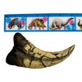 Utahraptor Dinosaur Claw Replica - 7" - Walmart.com