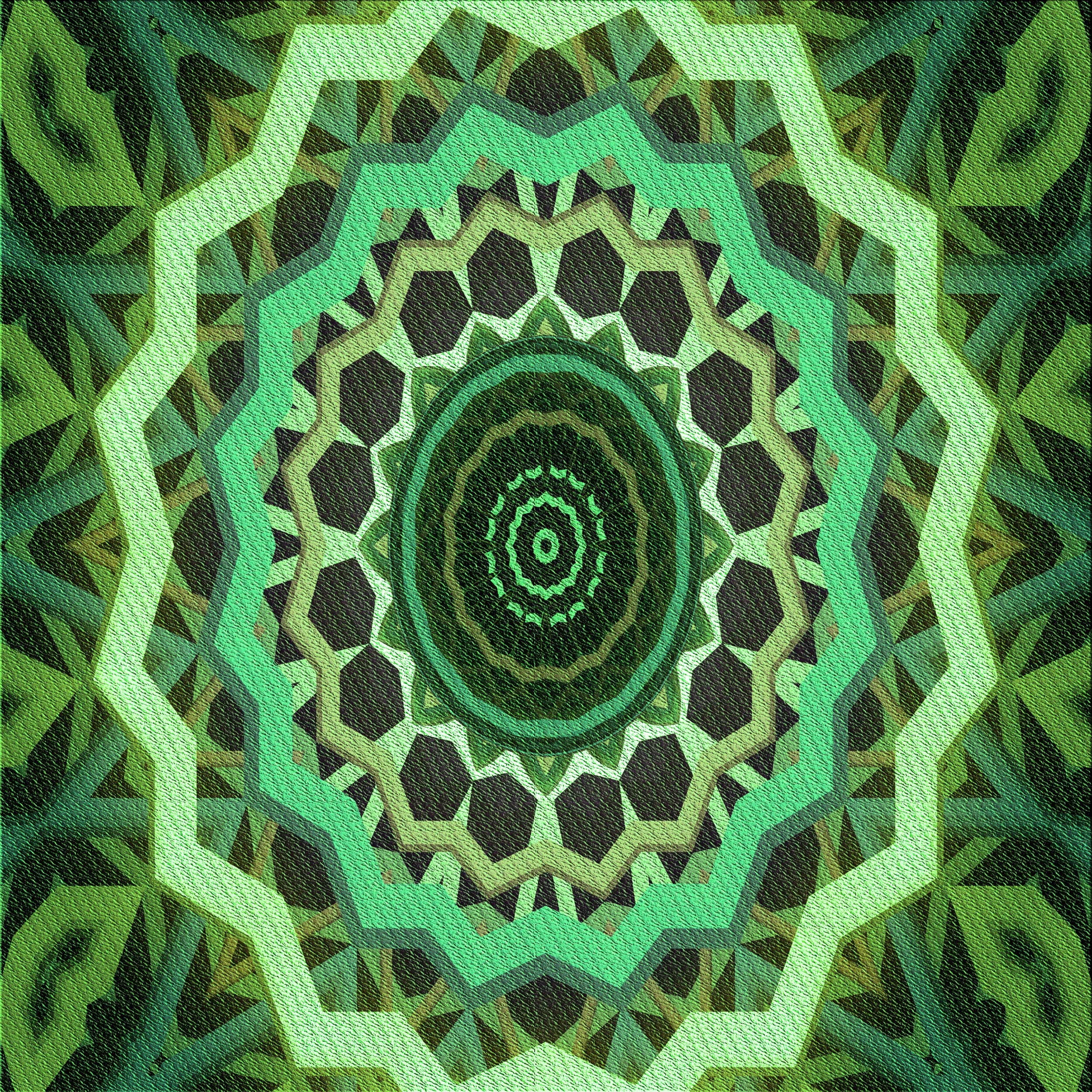 Ahgly Company Indoor Square Patterned Dark Forest Green Area Rugs, 6 ...