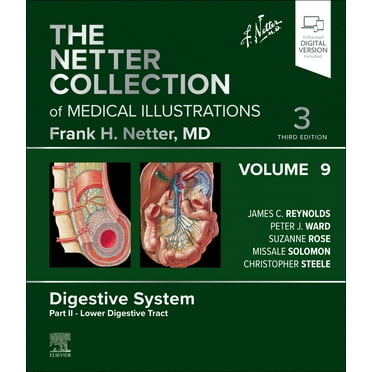 The Netter Collection of Medical Illustrations Complete Package ...