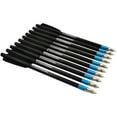 Steambow AR-Series Carbon Target Crossbow Bolts, Set of 10, Black ...