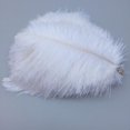 10pcs Ostrich Feathers,Ostrich Plume,Wedding centerpieces Feathers ...