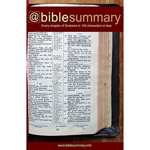 Pre-Owned Bible Summary: Every Chapter in 140 Characters or Less ...