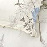 Swanson Beddings Daisy Flower Bed Comforter Set: 100% Cotton Shell ...