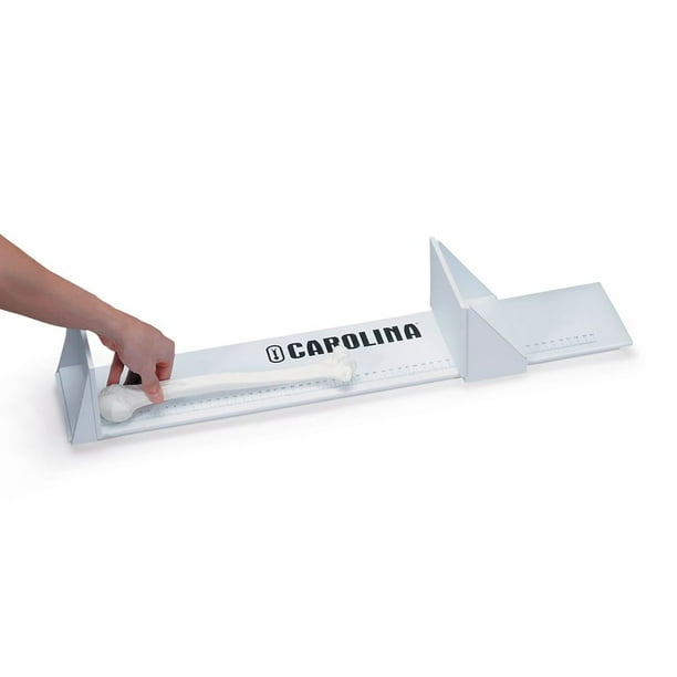 Carolina Osteometric Board, Durable Styrene Anthropometric Tool ...