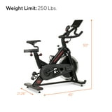ProForm 500 SPX Indoor Cycle with Interchangeable Racing Seat - Walmart.com