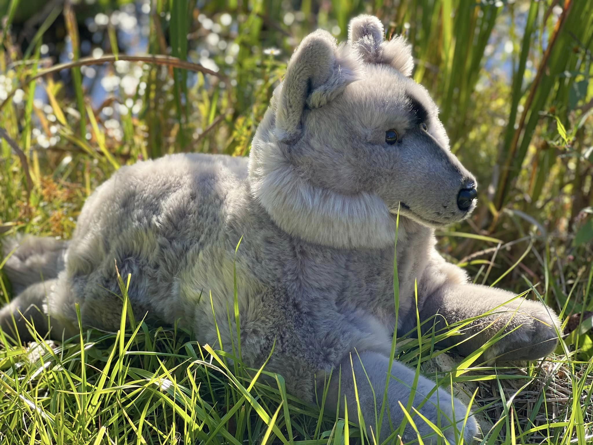 Auswella® Grey Wolf Plush Stuffed Animal - Walmart.com
