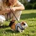 Adjustable Small Animal Harness Leash Breathable Mesh Vest for Pig ...