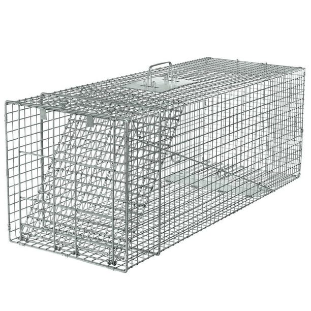 Havahart Extra Large Steel 1-Door Wild Animal Trap - Walmart.com