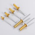 RRFDWQ-(130 Pcs)1/4"x5/8" Golden Aluminum blind pro Rivets,Golden ...
