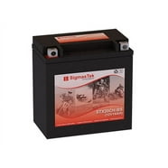Polaris Battery, Flooded, Filled, 575 CCA, Genuine OEM Part 4014132-P ...