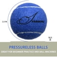 Bulk Tennis Balls for Beginner – 12 Pack High Elasticity Practice ...