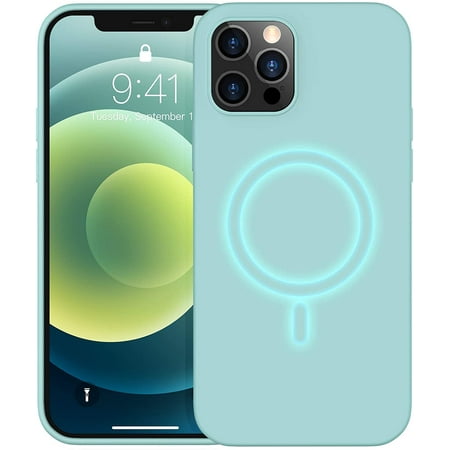 AIMTYD Magnetic Case Designed for iPhone 12 Mini Case,Built in Magnets ...