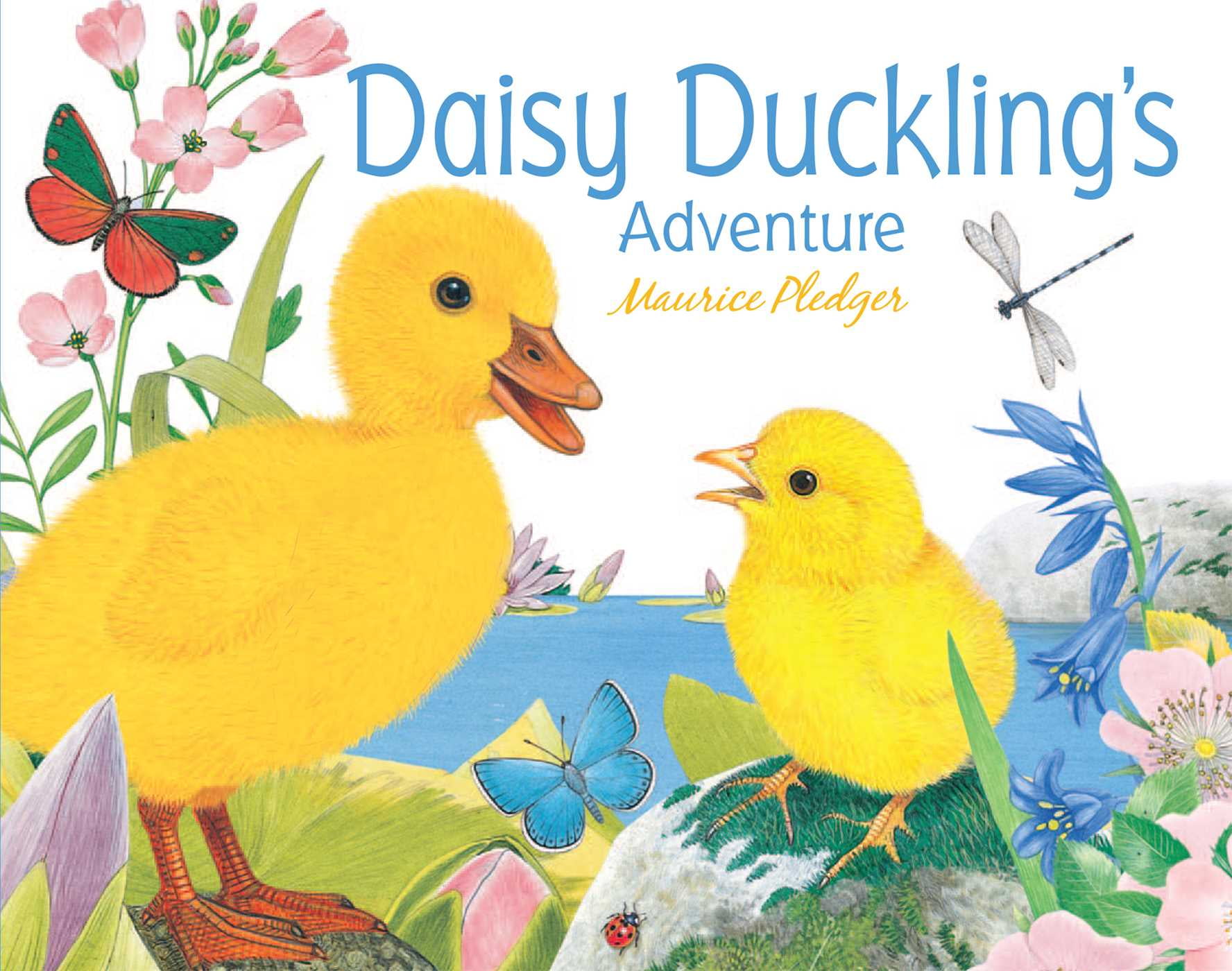 Daisy Duckling's Adventure - Walmart.com