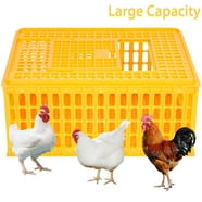 Precision Extreme Hen House Pen 55.12X38X30.1 - Walmart.com