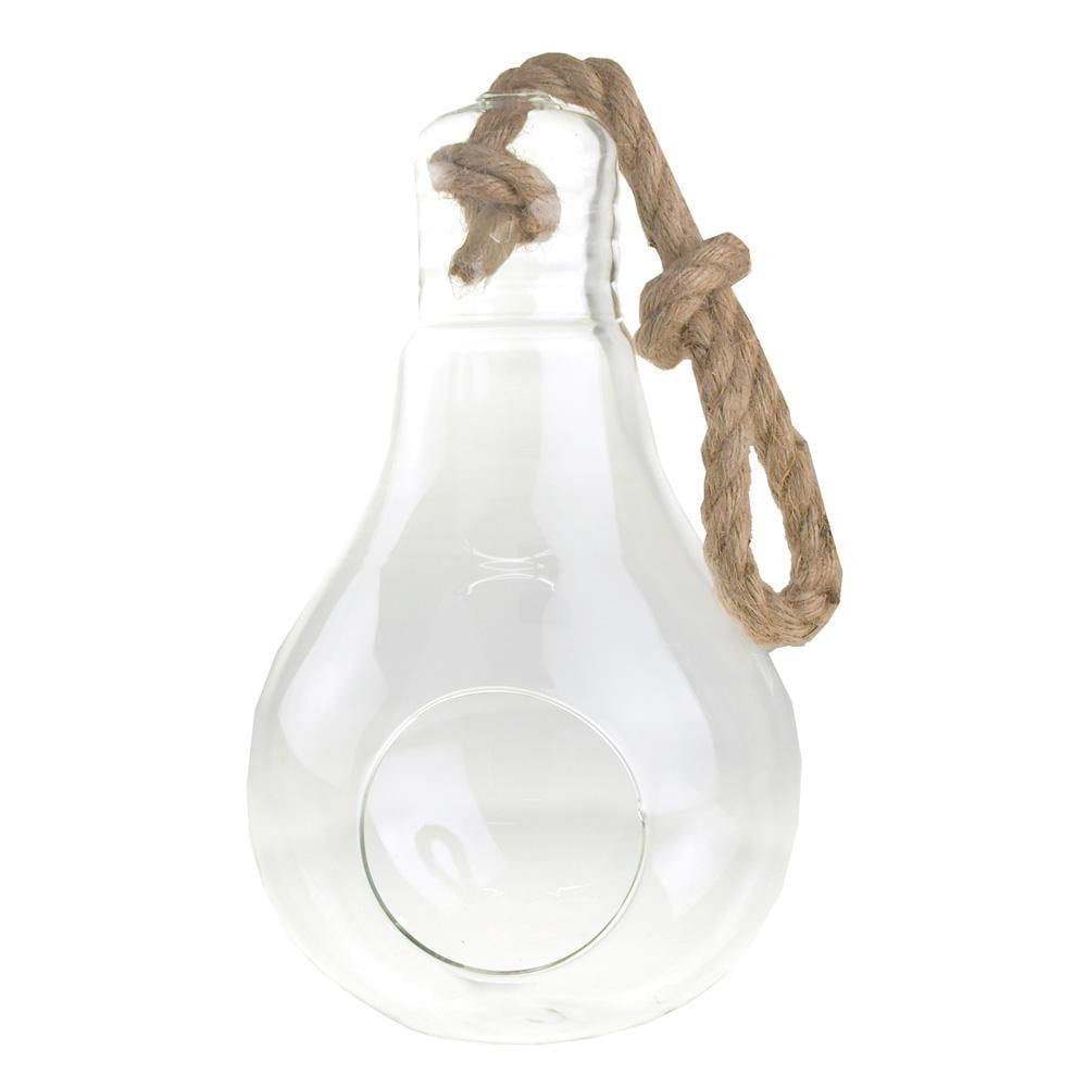 Hanging Glass Light Bulb Terrarium with Jute Rope, Clear, 12-Inch ...