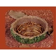 2pcs Tree Trunk Food/Water Dish for Amphibians, Reptiles and Other ...