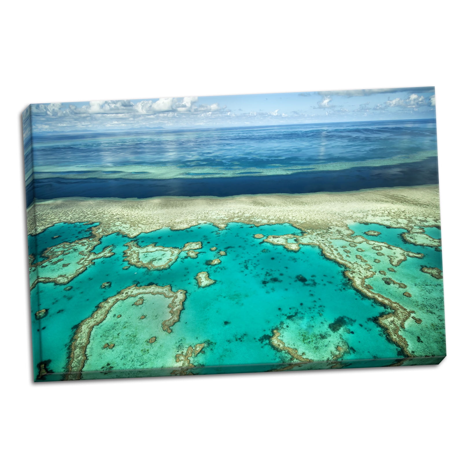 Gango Home Decor Coral River II by Larry Malvin (Ready to Hang); One ...