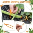 Stolon Fixing Clip Plant Vine Presser for Strawberry Planter and Vine ...