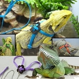 Cheers.US Adjustable Reptile Lizard Turtle Harness Leash Multi Color ...