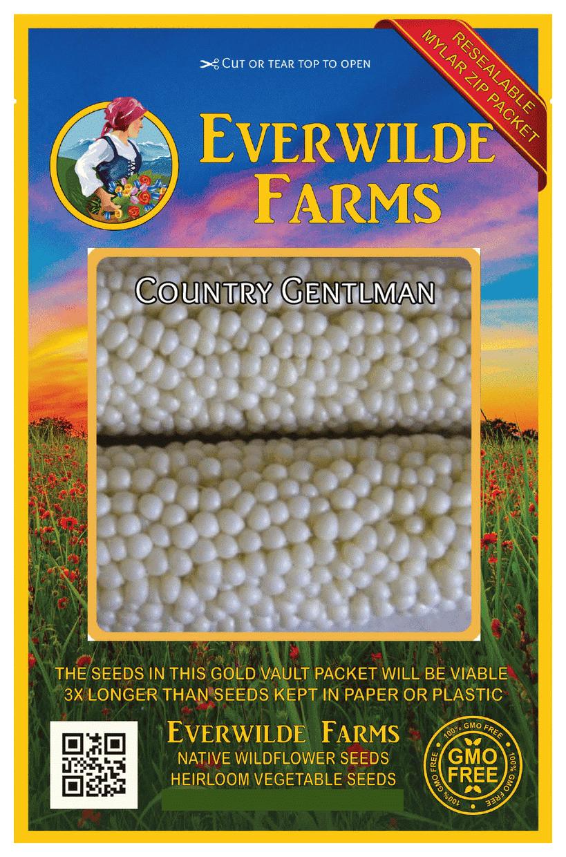 Everwilde Farms - 100 Country Gentlman Sweet Corn Seeds - Gold Vault ...